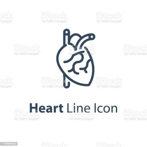 인간의 내부 장기 건강한 심장 심혈관 검사 벡터 라인 아이콘 개념에 대한 스톡 벡터 아트 및 기타 이미지 개념 건강 검진 건강 진단 Istock