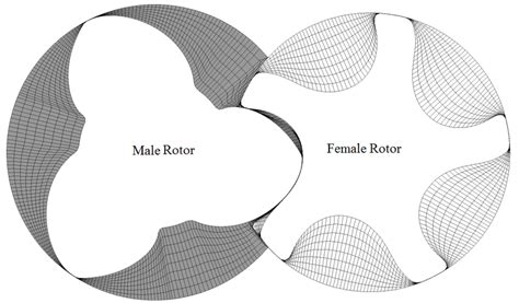 numerical grid in cross section download scientific diagram