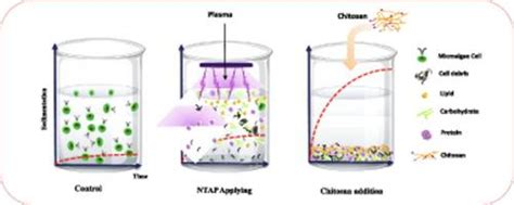 撤回：一种使用非热大气等离子体 （ntap） 技术和壳聚糖絮凝进行微藻细胞破碎和生物制品提取的新方法separation And