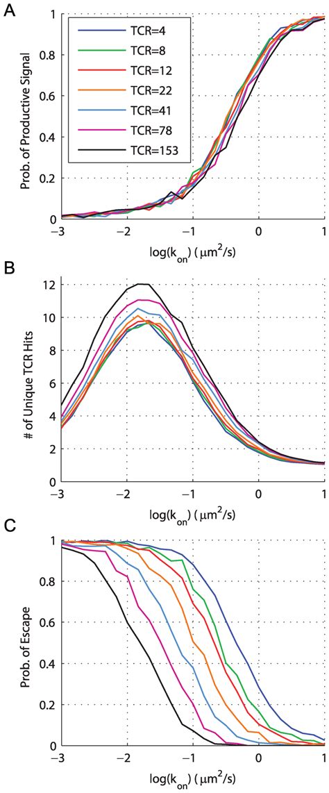 Tcr Clustering Has No Effect On Productive Signaling We Perform