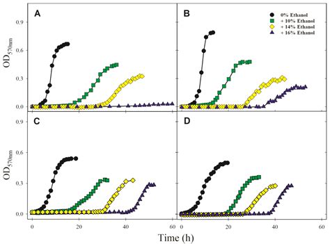 Fermentation Free Full Text Increasing Ethanol Tolerance And Ethanol Production In An