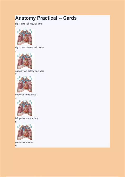 Anatomy Practical Cards Questions With Correct Answers Latest Update Complete Solution