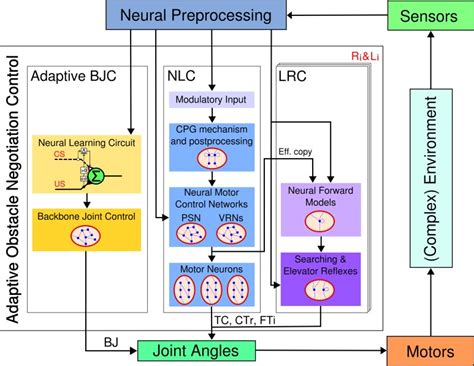 embodied closed loop neural control architecture for adaptive obstacle