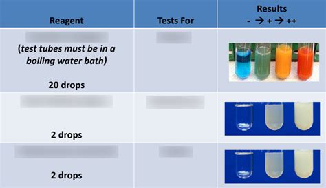Lab Nine Experiment Diagram Quizlet