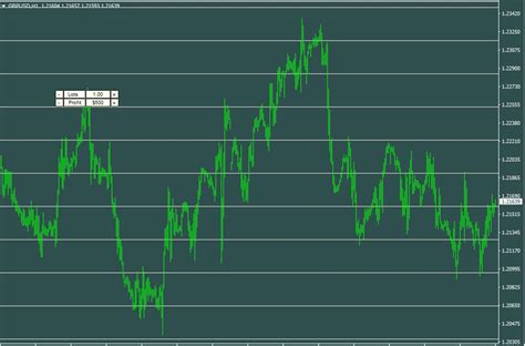 Buy The Visual Position Sizer Technical Indicator For Metatrader 4 In