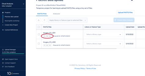 10x Cloud Walkthrough Tutorial From Fastqs To Quantitative