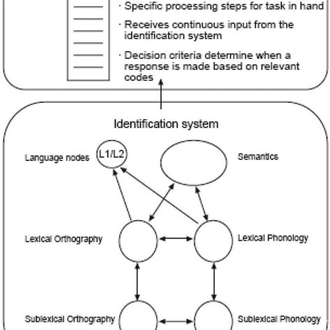 pdf the activation of phonological representations by bilinguals