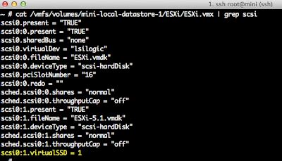 Emulating An SSD Virtual Disk In A VMware Environment