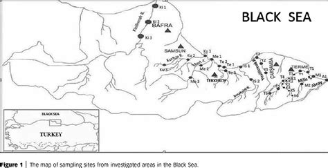 Figure 1 From Acanthamoeba Spp In River Water Samples From The Black Sea Region Turkey