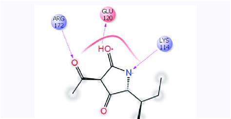 2 Dimensional Representation Of Molecular Docking Interaction Of