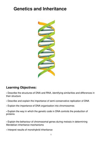 Genetics And Inheritance Booklet Teaching Resources