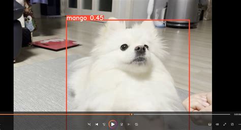 Github 2swon Object Detection Customdataset 직접 찍은 강아지 동영상을 Frame 단위로 저장 40 데이터셋 라벨링 후 학습