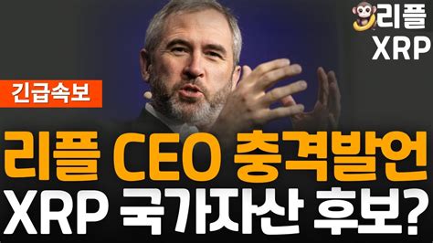 ※긴급속보※ 리플 Ceo 충격발언비트코인은 베타였다 Youtube