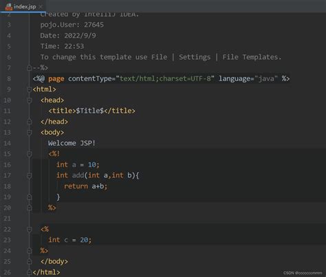 jsp总结 jsp动态网页指令标记技术总结 csdn博客