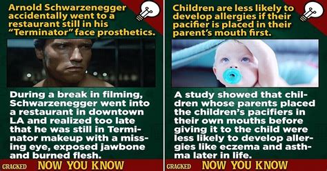 40 Random Bits Of Trivia That Will Take Seven Years To Digest If You Swallow Them