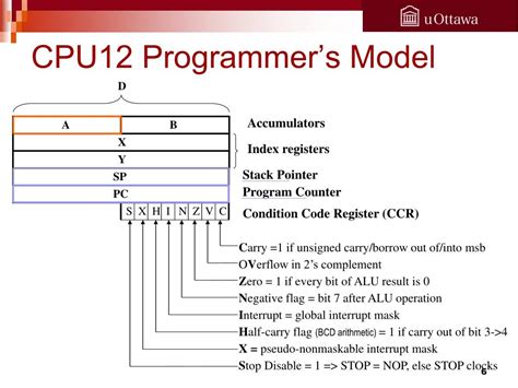 ppt ceg3136 computer architecture ii module 2 cpu registers condition codes and addressing