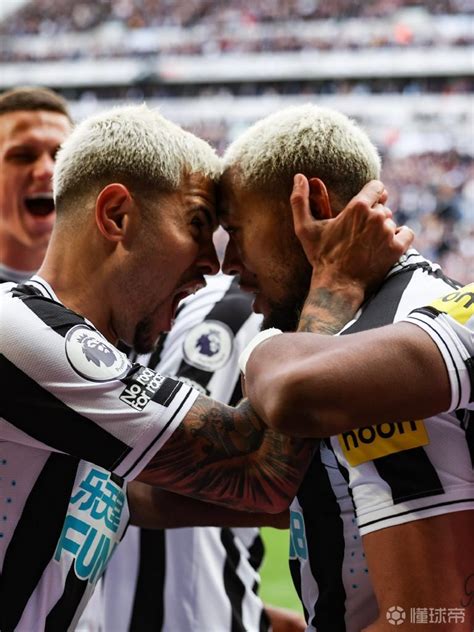 我异父异母的好兄弟😆