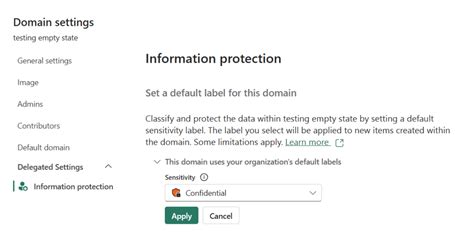 Protecting Your Fabric Data Using Purview Generally Available