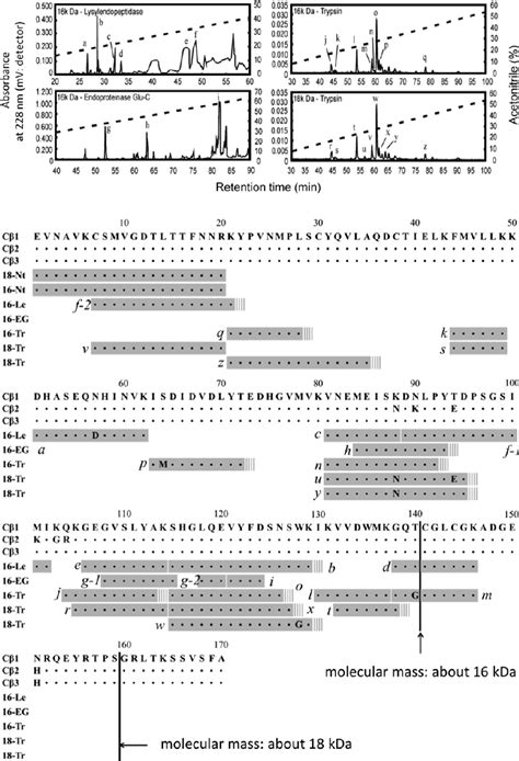Peptide Mapping Of β′ C Subunits Upper Figures Hplc Chromatogram Of Download Scientific