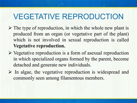 Reproduction Of Algae Vegetative Asexual And Sexual Reproduction Pptx
