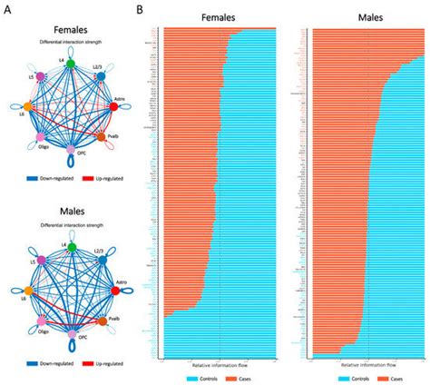 Single Cell Transcriptional Profiling Reveals Cell Type Specific Sex