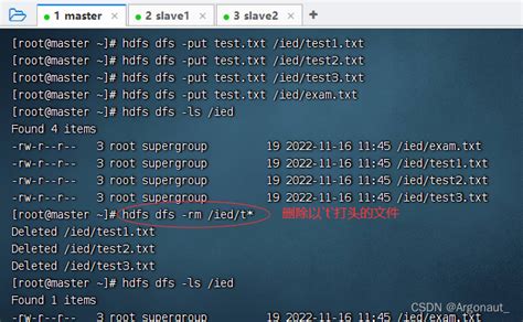 HDFS的Shell操作 hdfs shell CSDN博客