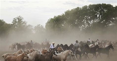 극심한 가뭄에 시달리는 남미 곡창지대전세계 곡물가격 비상