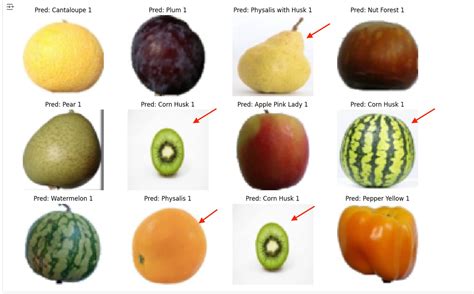 Image Classification With Pytorch Vision Pytorch Forums