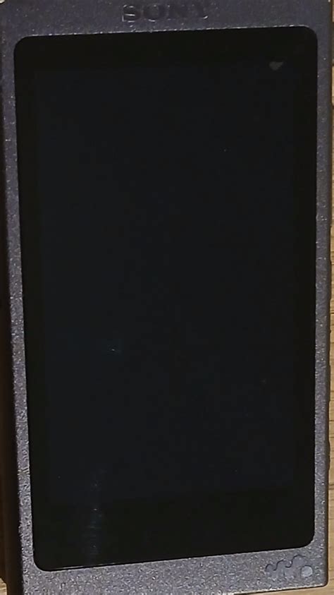 Sony Walkman Flacmp3mp4radiobluetooth Player Nw A35 16gb