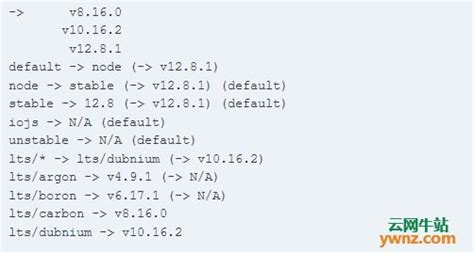 在debian 10系统上安装node js和npm的三种不同方法 linux教程 云网牛站
