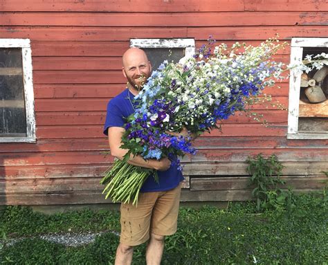 Delphinium Growing Guide