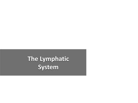 SOLUTION Lymphatic System Human Anatomy Nursing Lecture Notes Studypool