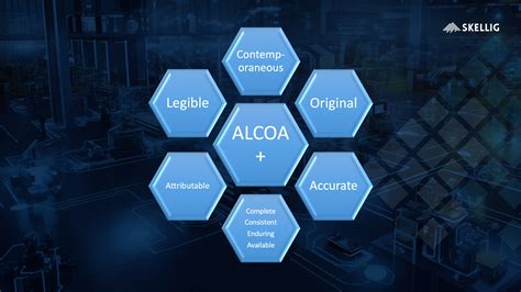 The Principles Of Data Integrity Skellig