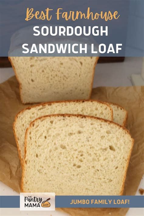 Old Fashioned Sourdough Donuts Artofit