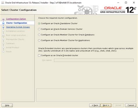 What Is The Oracle Grid Infrastructure At Cynthia Stanton Blog