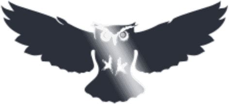 Sentis Stilvoll Kleiden Weniger Ausgeben Premium Mode And Schuhe