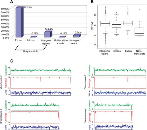 Mapping Summary Of Rna Seq Reads And Transcriptional Distribution In P