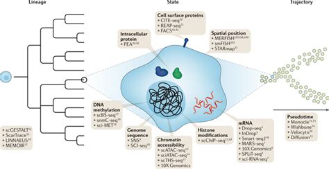 Integrative Single Cell Analysis Nature Reviews Genetics Integrative Gene Expression Dna