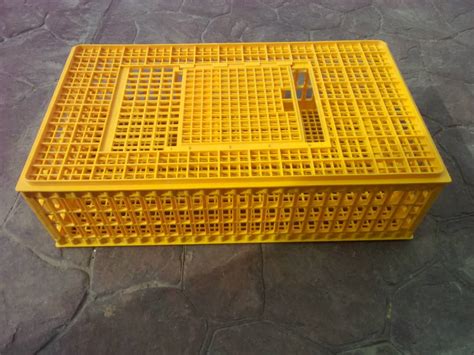 Pellets Versus Mash Which Is Better Agriculture Nigeria