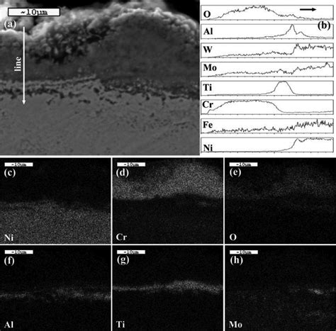 Sem Image A The Linear Element Distribution B And The Download Scientific Diagram