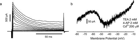 Figures And Data In Stochastic And Deterministic Dynamics Of Intrinsically Irregular Firing In