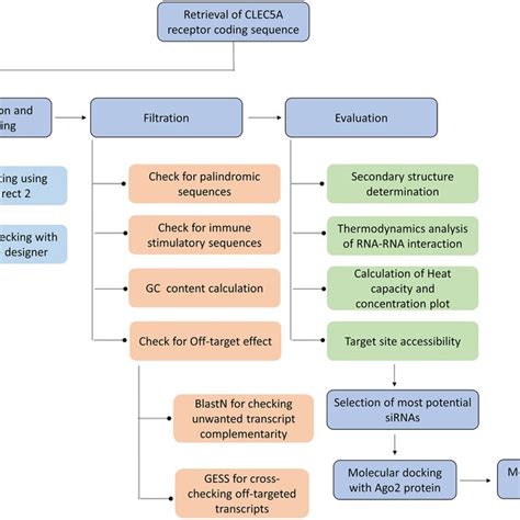 Structure Of Binding Of Sirna Guide Strand And Target Rna Along With Download Scientific