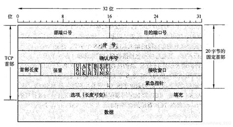 详解tcp协议 一 ——tcp是什么及报文结构 tcp报文结构 csdn博客
