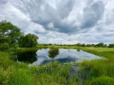 025 Appy And The Eel Jules Pretty