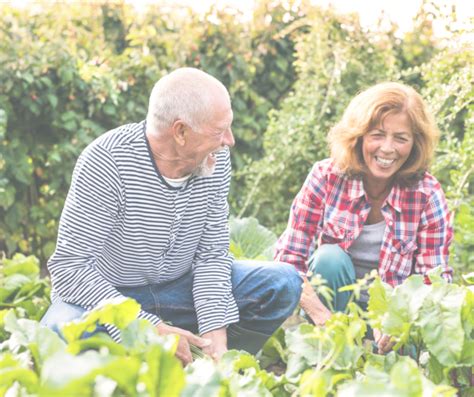 Senior Spotlight Benefits Of Gardening As You Age