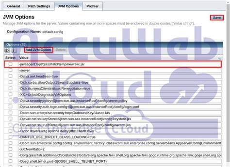Custom Java Environment Variable Tomcat Tomee Jetty