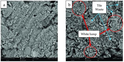 SEM Micrographs Of A Untreated Clay Sample And B Treated Clay With Download Scientific