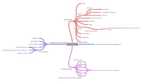 Ecosystem Coggle Diagram