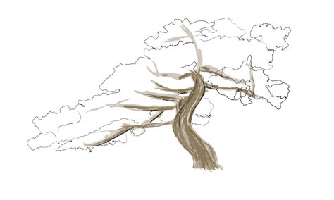 How To Draw A Tree In 6 Simple Steps