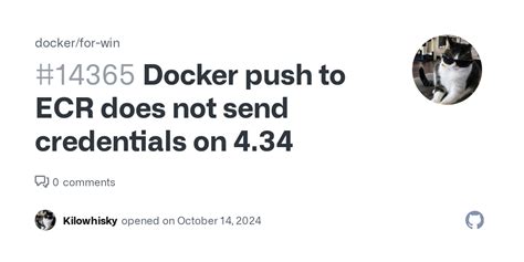 Docker Push To ECR Does Not Send Credentials On Issue Docker For Win GitHub
